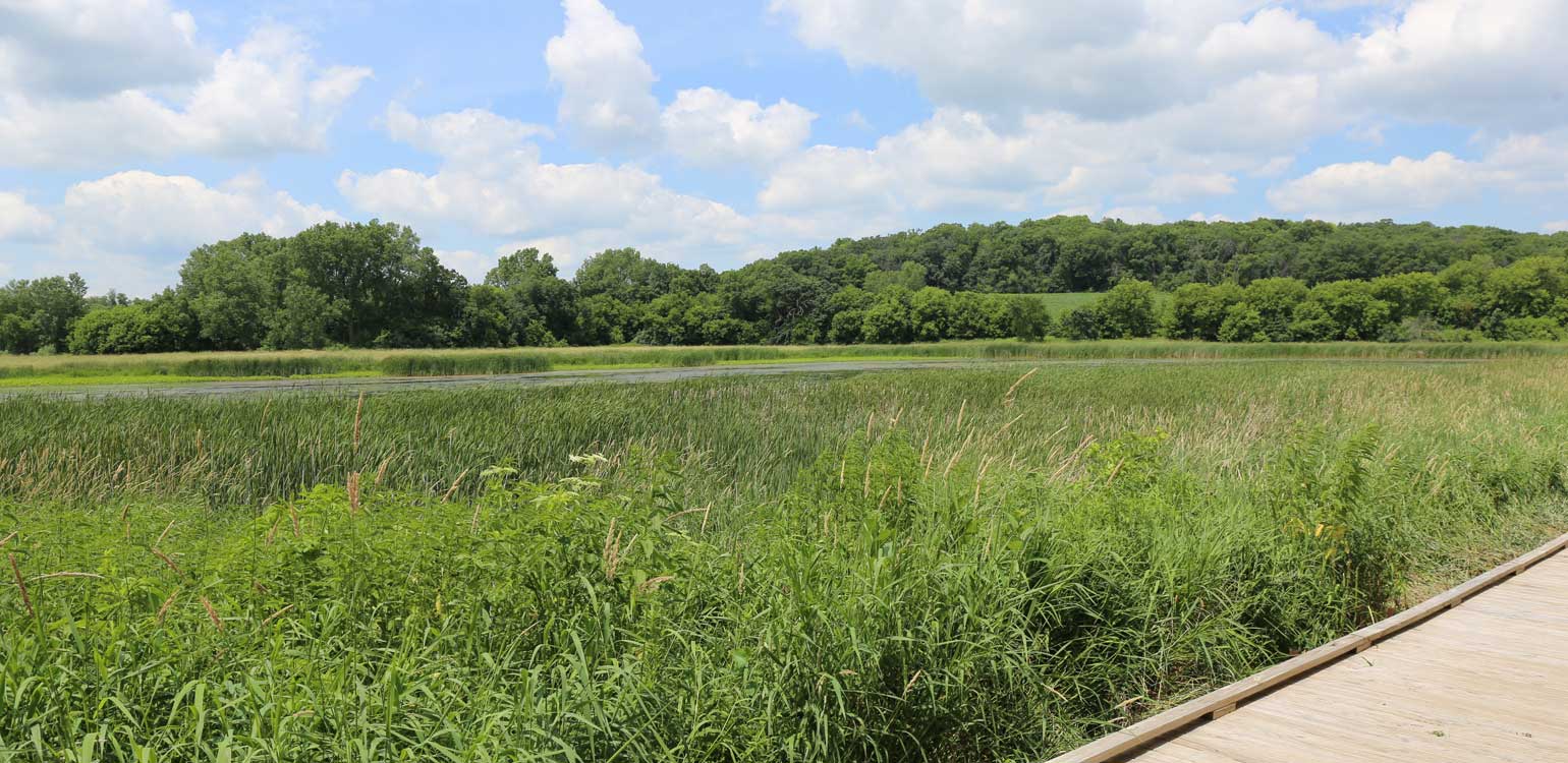 Graber Pond Conservancy Area - Visit Middleton