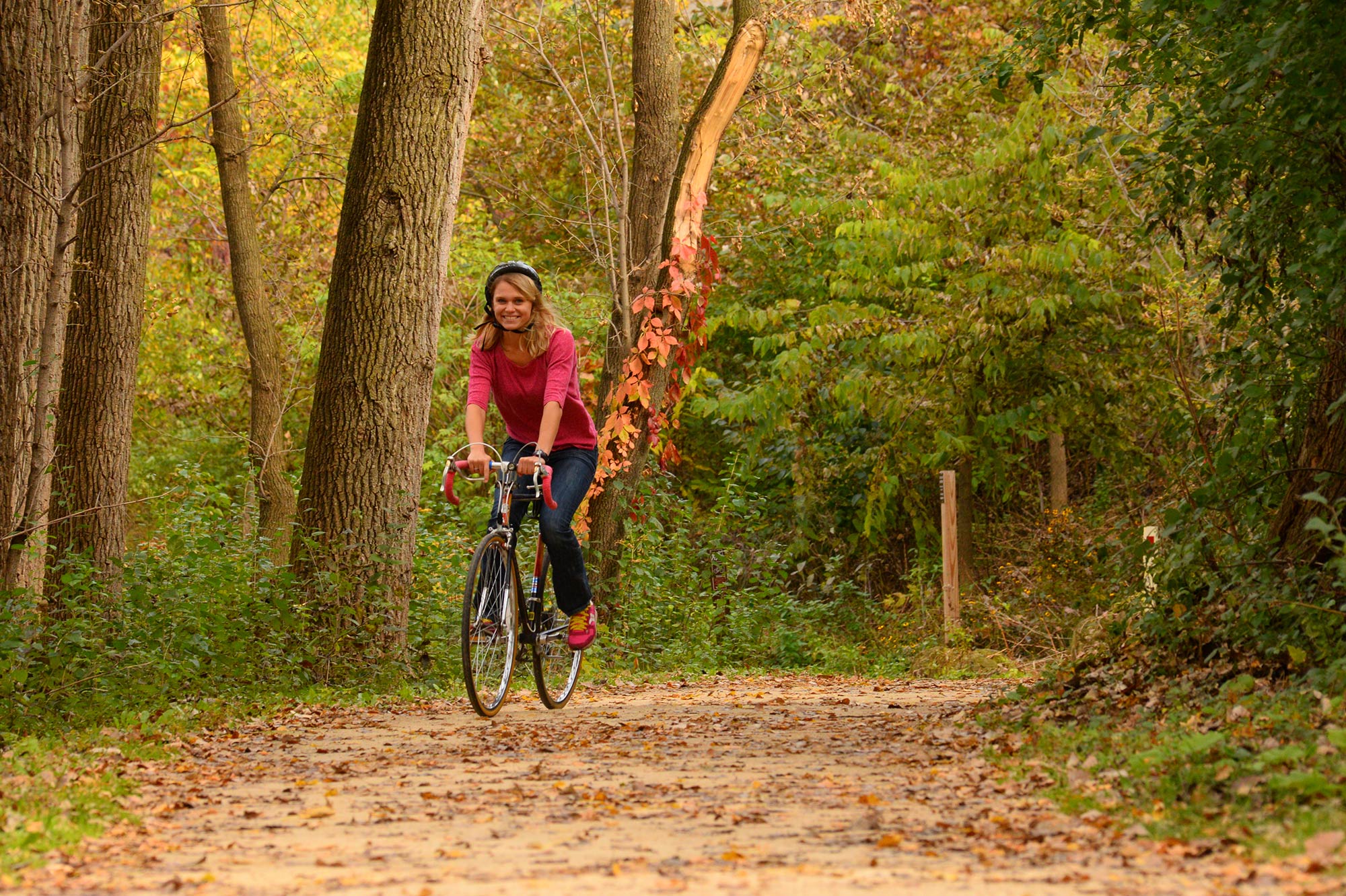 Fall Biking Guide - Visit Middleton